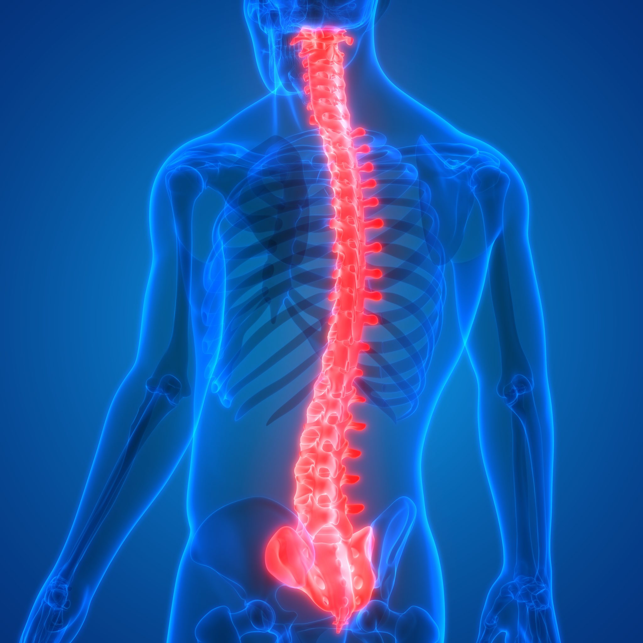 Understanding the Types of Back Pain and Their Causes and Risks